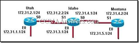 ccna 2 module 11 v3 1 answers