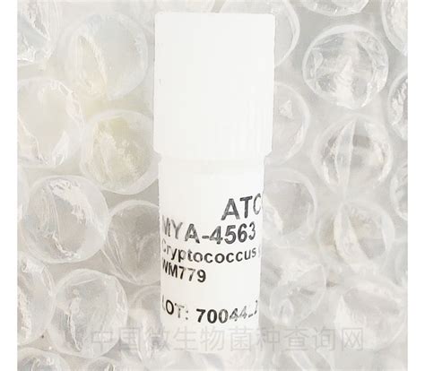 美国atcc 微生物菌种查询网 Atcc 菌种 质粒 细胞系