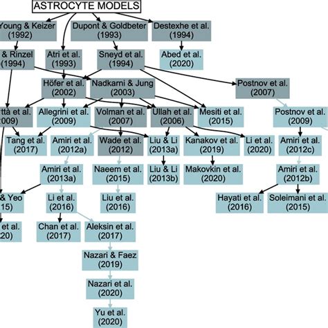 Evolution Of Astrocyte Models In The Neuron Astrocyte Network Models