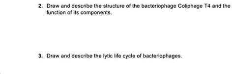 Draw And Describe The Structure Of The Bacteriophage Coliphage T4 And The Function Of Ils