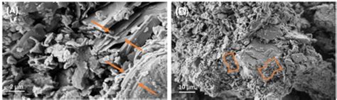 Fe Sem Images Showing Pore Structure Pore Types And Approximate Range Download Scientific