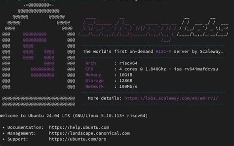 marcio montenegro on linkedin risc v performance on ubuntu 24 04 lts