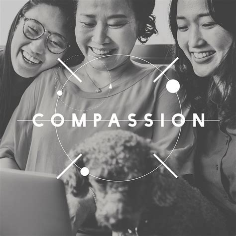 Compassion Images Free Photos Png Stickers Wallpapers And Backgrounds