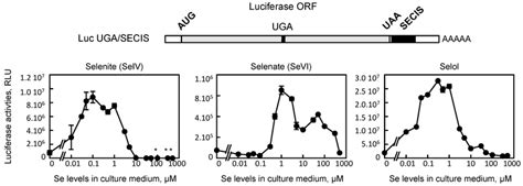 Evaluation Of Selenocysteine Insertion Efficiency In Response To Download Scientific Diagram