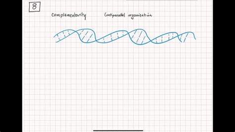 Solvedcomplementarity Plays A Major Role In The Structure Of A