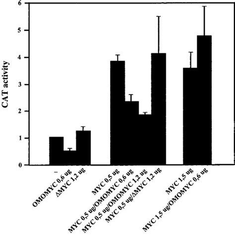 Molecular Modeling Of Myc And Max Dimers A Three Dimensional Models Download Scientific