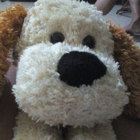 Sofia Saavedra Youtube