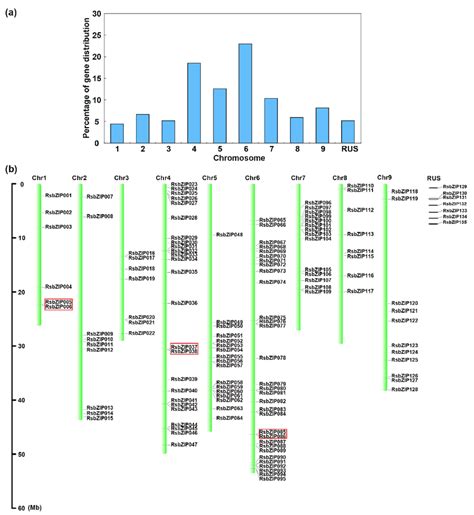 Chromosome Localization And Distribution Of Duplication Events Of Download Scientific Diagram