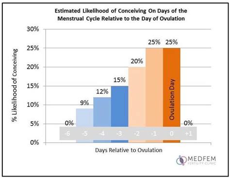 Womens Guide To Ovulation Medfem Fertility Clinic Sandton