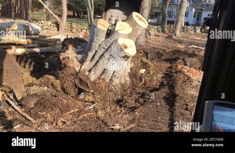 Stump Pulling Machine Stock Videos And Footage Hd And 4k Video Clips