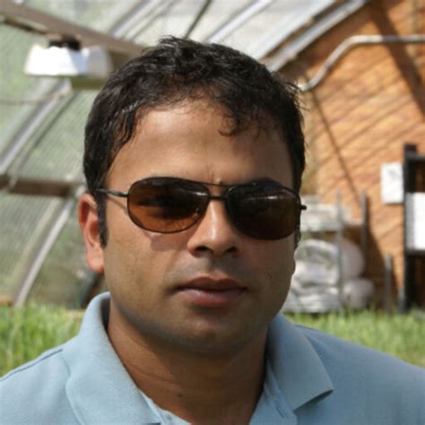 Laxman Adhikari Research Scientist Doctor Of Philosophy Plant Breeding Genetics And
