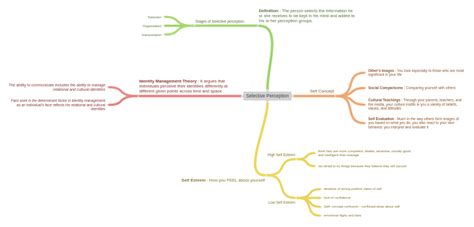 Selective Perception Coggle Diagram