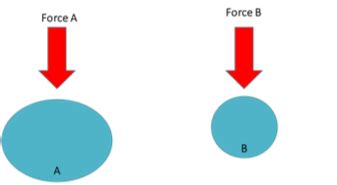 Biomechanics Exam Flashcards Quizlet
