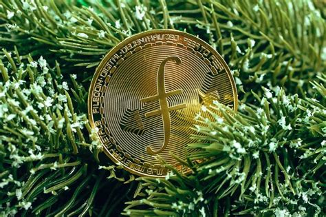 Filecoin Fil Price Analysis Bullish Trend Takes Hold As Bears Try To Reverse Course Rfilecoin