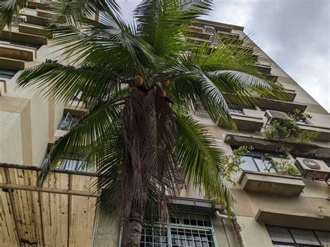 セタパック温泉（setapak Hot Spring） マレーシア温泉