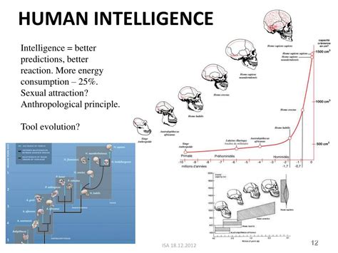 Ppt Prof Dr Matjaž Gams MpŠ Powerpoint Presentation Free Download Id 6506454