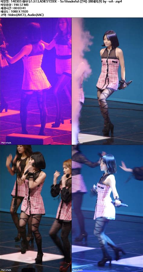 [hd직캠] 140303 레이디스코드 은비 88체육관 By Wa