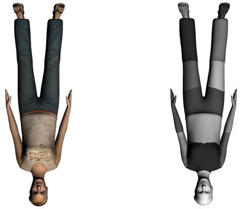 Mesh Split Into Different Regions Download Scientific Diagram