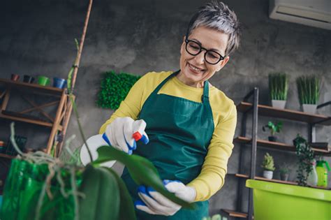 연금 수령자 숙녀 플로리스트 스프레이 잎 식물 입고 녹색 앞치마 일 꽃집 스튜디오 중소기업의 사진 여자 사업가에 대한 스톡 사진