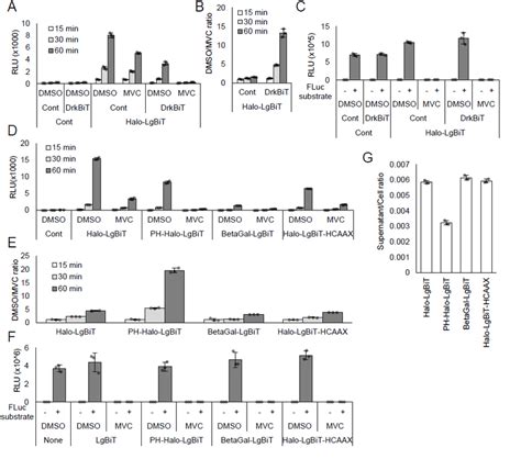 Addition Of A Ph Domain To Lgbit Reduces The Background Signal Of The