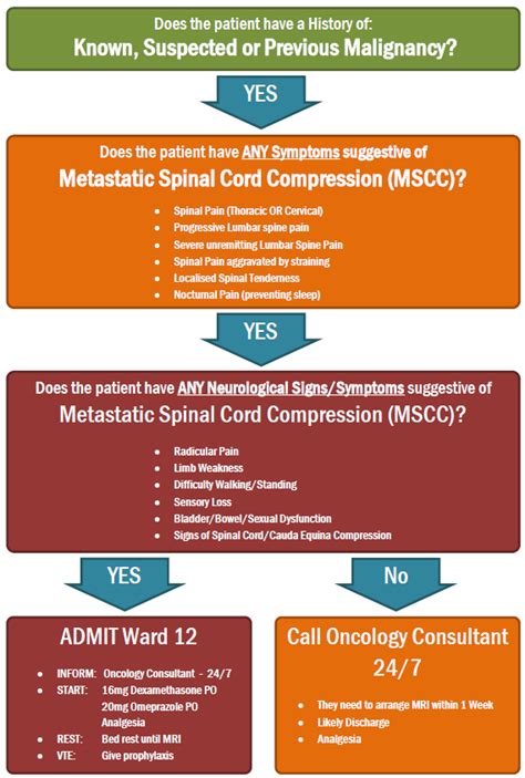 Metastatic Spinal Cord Compression Mscc Uk