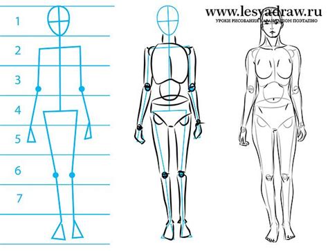 Рисуем человека карандашом для начинающих Body Part Drawing Drawing Body Proportions Stick