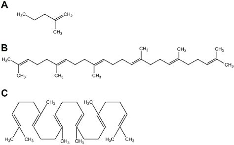 A Structure Of Isopentenyl Pyrophosphate B Squalene In Linear Download Scientific Diagram