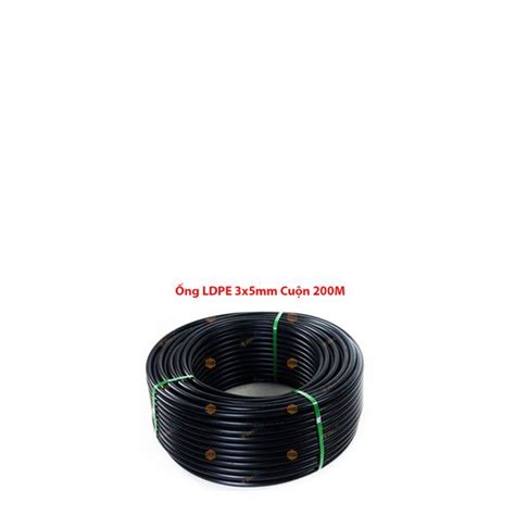 Ng D N N C M M Ldpe Phi X Mm Anbio Vn Agriculture Natural Biotechnology