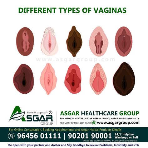 Different Shapes Of Women S Pussies Photos Porn Photo