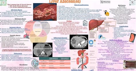 Liver Abscess Medical Infographics