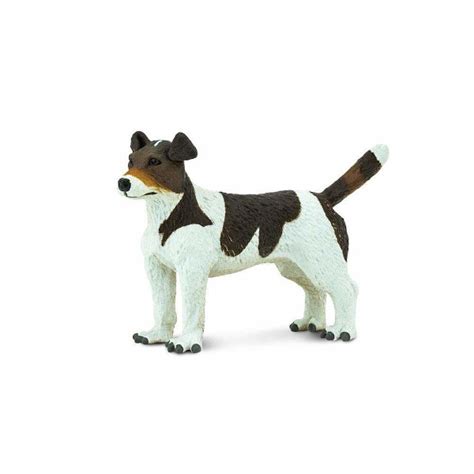 Perro Jack Rusell El Pesebre
