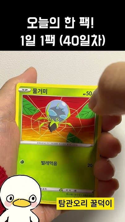 오늘의 한팩 40일차 포켓몬 포켓몬카드 금손 포켓몬카드까기 오늘의한팩 1일1팩 한팩챌린지 흑염의지배자 이브이히어로즈 레이징서프 포켓몬카드깡