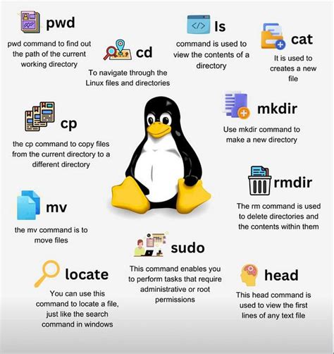learn linux terminal basics with shubham londhe shabina tarique