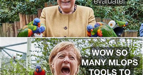 R Mlops Bonus Meme Album On Imgur