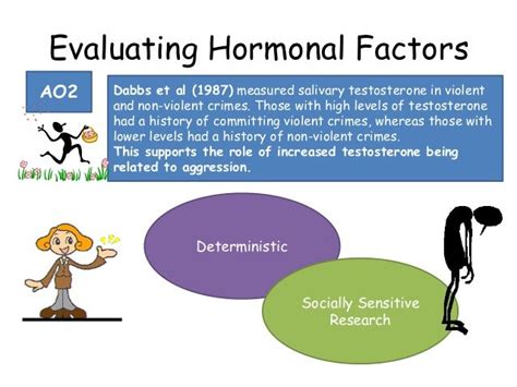 The Role Of Neural And Hormonal Factors In Aggression
