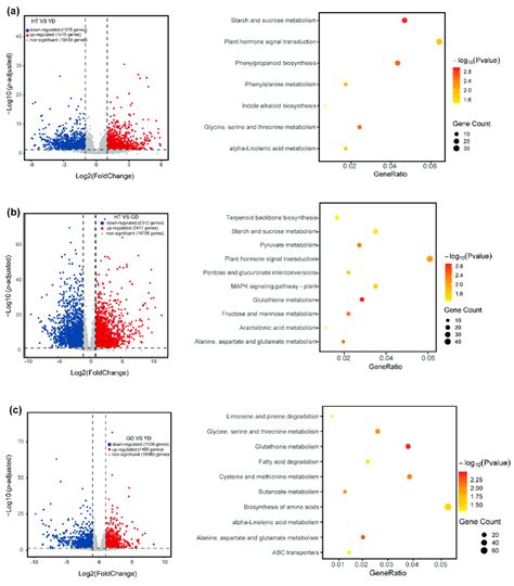 Comparative Transcriptome Analysis The Volcano Plot And Kegg