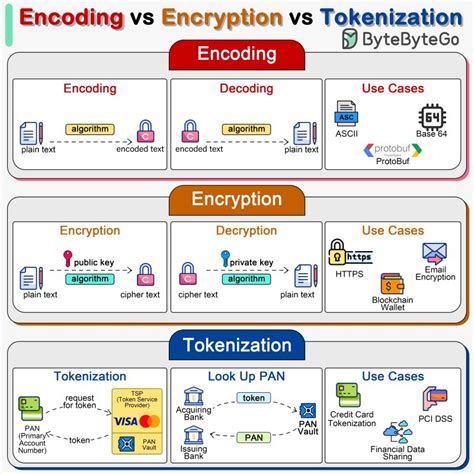 sahn lam on linkedin encoding vs encryption vs tokenization encoding