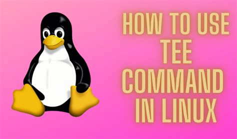 How To Use TEE Command In Linux LinuxTechLab