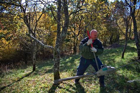 Man Using Equipment For Pulling Tree Trunk Stock Image Image Of