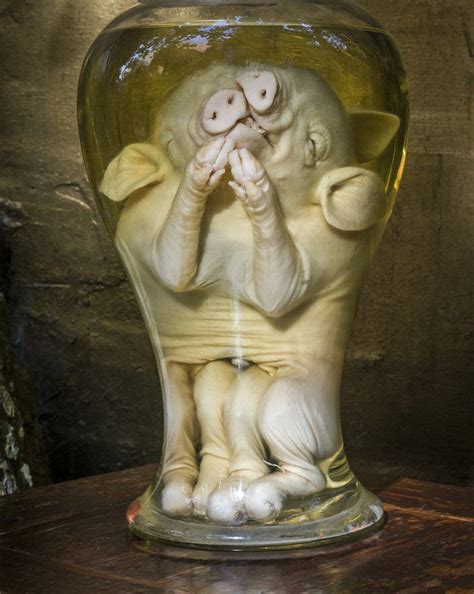 The Isolated Blurt Thread ∞ Who Gives A Fuck Page 120 Literotica