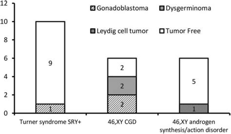 Gonadal Tumor Risk In Pediatric And Adolescent Phenotypic Females With
