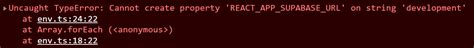 Cannot Create Property Issue ElMassimo Vite Plugin Environment GitHub