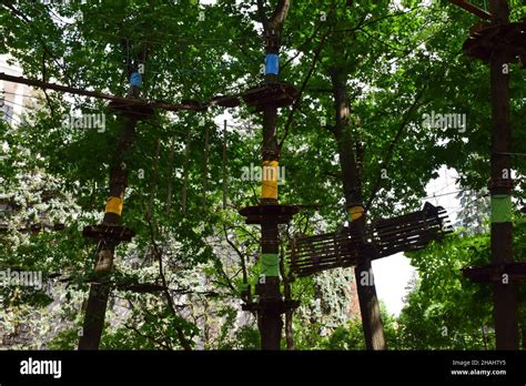 In The Summer Forest A Sports Rope Park Amusement With Suspension