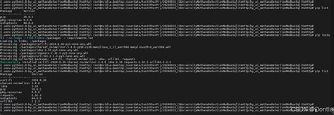 Python虚拟环境怎么下载离线包文件（python Venv、python离线包、python Wheel、pip包安装文件、python下载）pip Download R Xx
