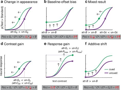 Dissociable Neural Mechanisms Underlie the Effects of Attention on Visual Appearance and ...