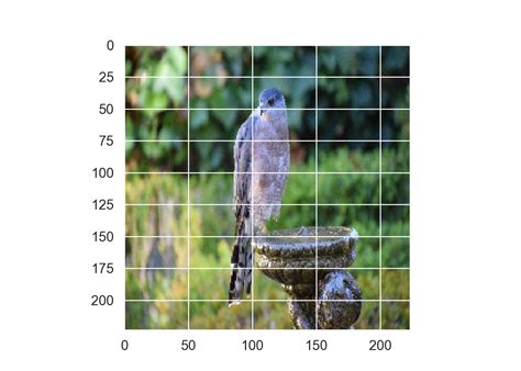 Using Pretrained Cnn Models