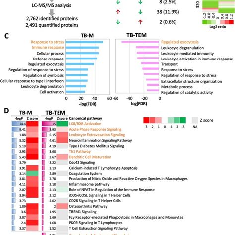 Differential Proteomics Profiles Of Heat Killed Tuberculosis