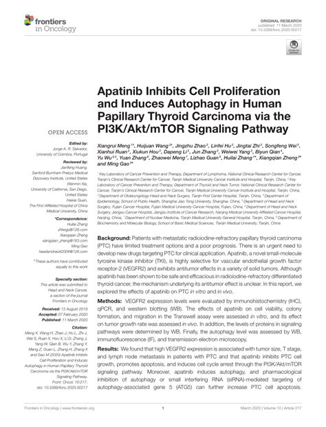 Pdf Apatinib Inhibits Cell Proliferation And Induces Autophagy In Human Papillary Thyroid