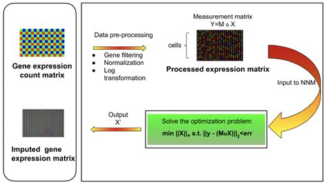 Overview Of Mcimpute Framework For Imputing Single Cell Rna Sequencing
