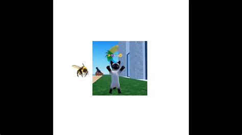 Bee Meme Youtube